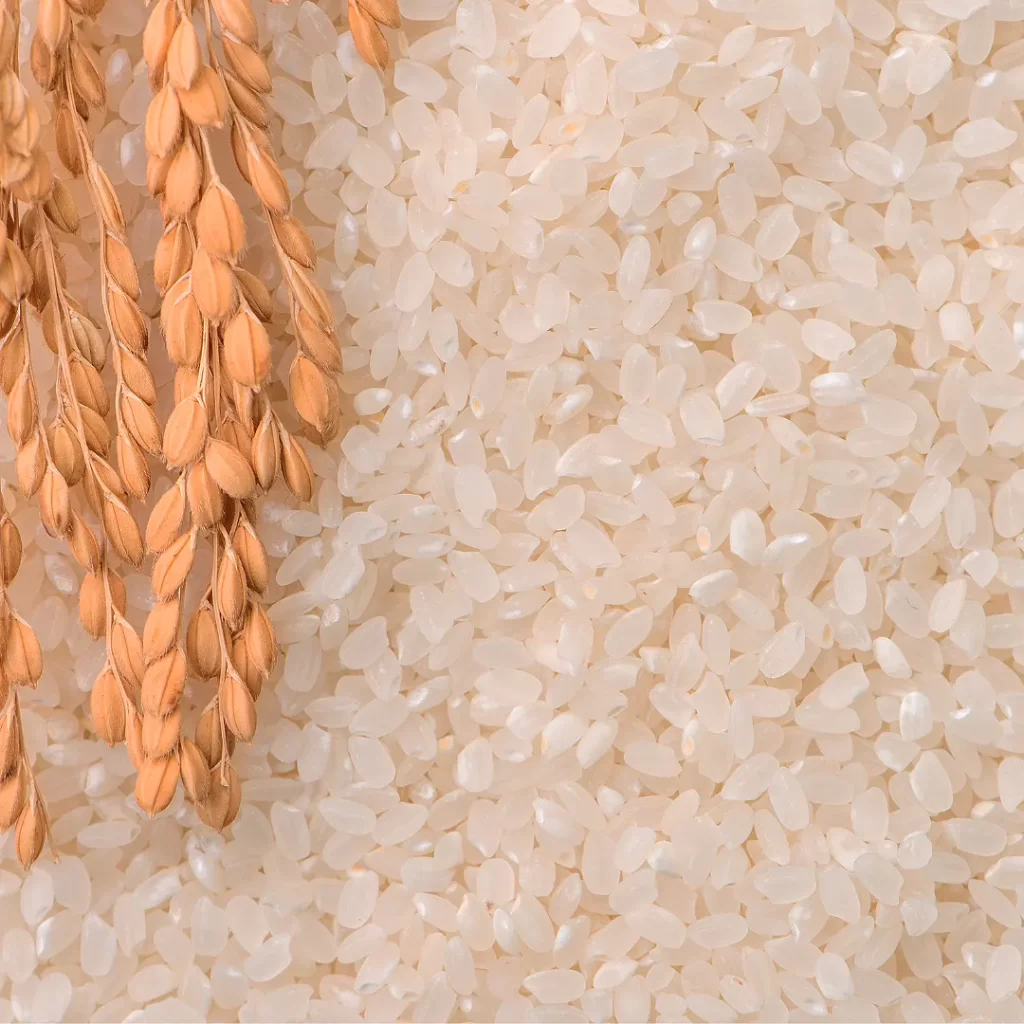 Kaima Rice – V H Traders